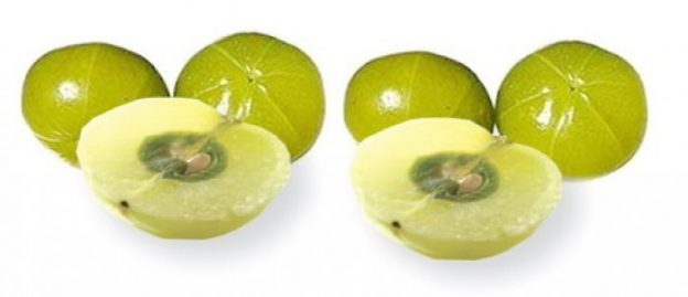 Amalaki : les vertus d’un fruit de légende